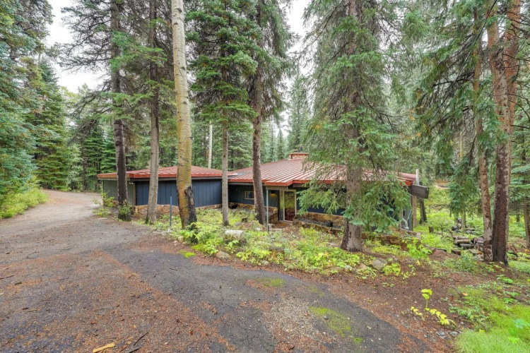 Mid-century Cabin: Creekside, Easy Access To I-70 - Georgetown, CO