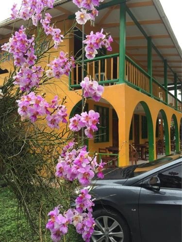 Cabinas Manzanillo Caribe Sur Cr - Cahuita