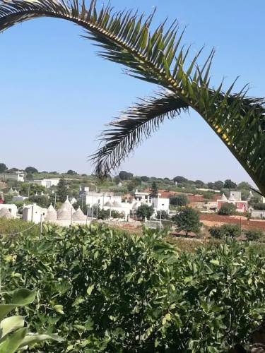 Holiday Home Cosimo - Locorotondo