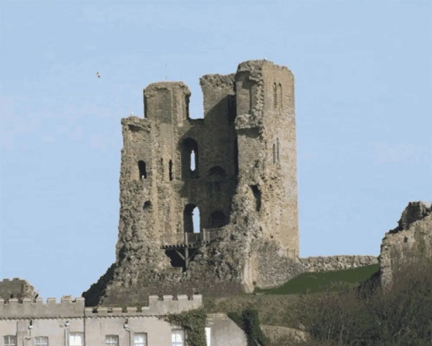 Miricia - North Yorkshire