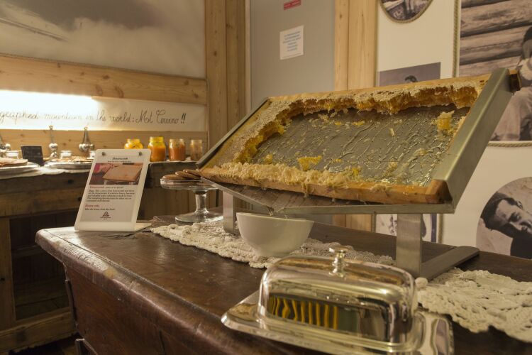 Apartments Suites Lac Bleu - Zermatt