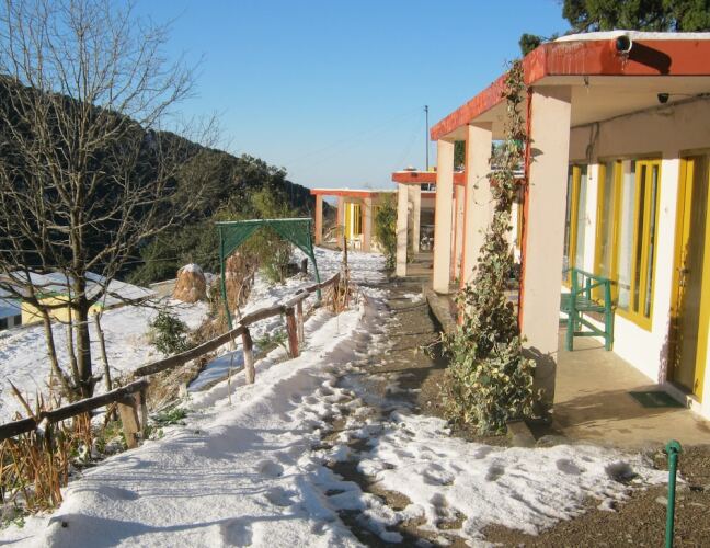 Room In Lodge - Janardan Resort Pangot, Nainital - Pangoot