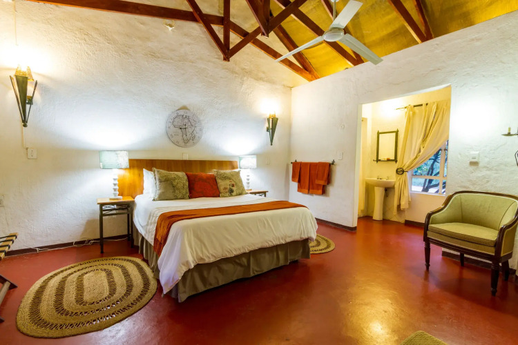 Gecko Lodge - Hazyview