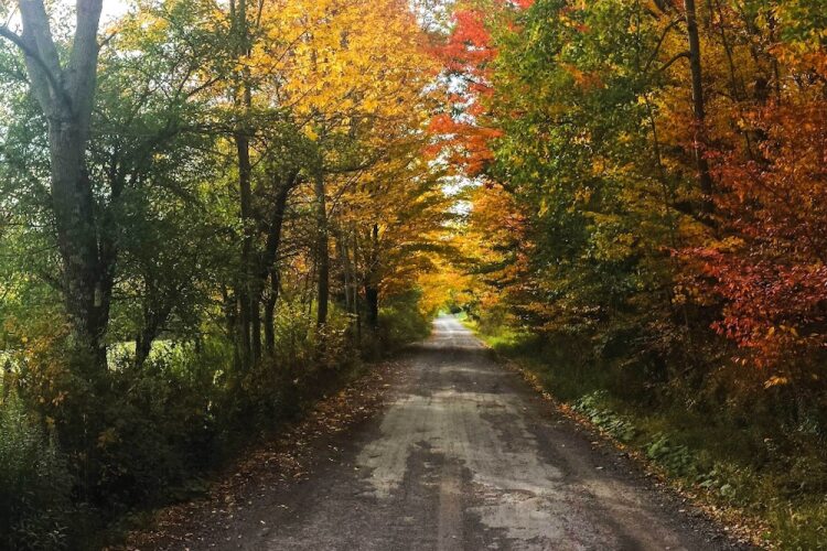 Poconos Home On 100 Private Acres: Hike & Fish! - Thompson, PA