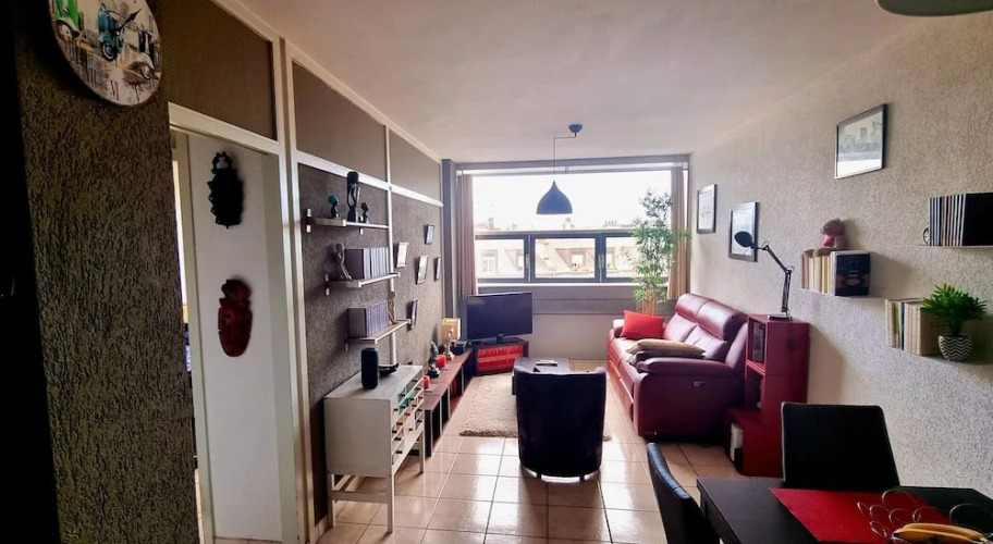 Very Bright Apartment In The Center Of The City - Geneva