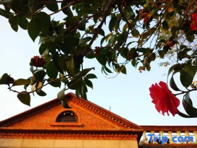 Slow House Yangtao Mansion - Quanzhou