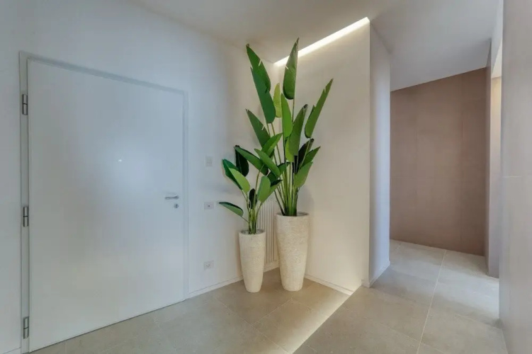 Santa Lucia Suites - Padua