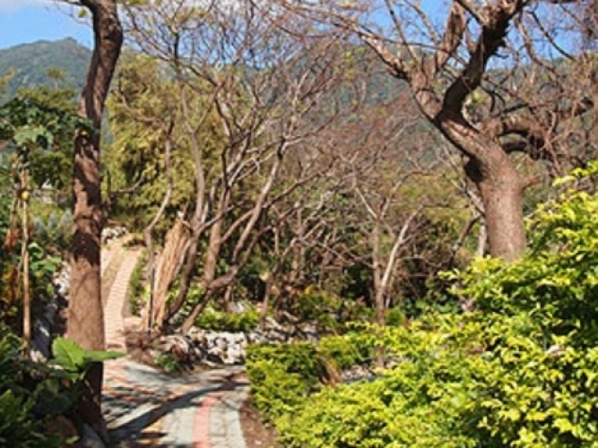 Lehuo Shoudo Moli Homestay - Taitung County