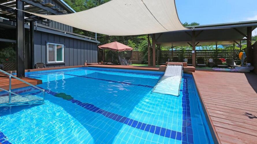 Pine Hill Pet Pension - Gangneung-si