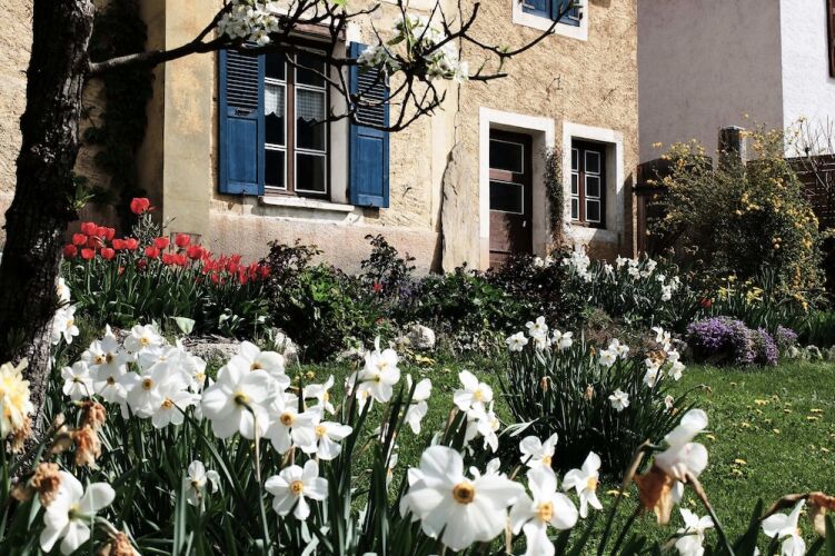 La Foyère - La Plagne