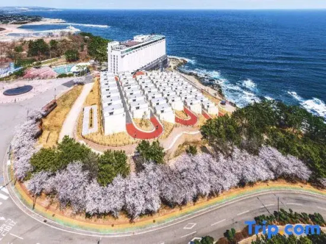 Panaq Yeoungdeok By Sono Belle - 장량동