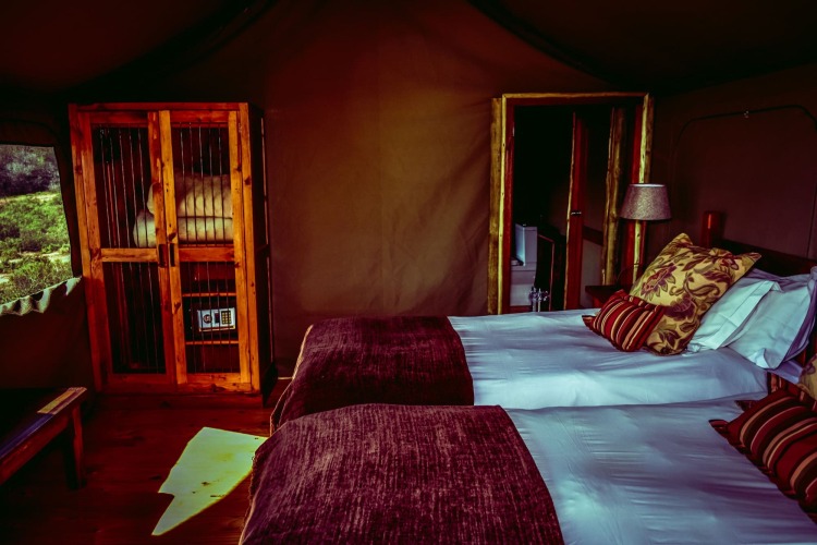 Buffelsdrift Game Lodge - Western Cape