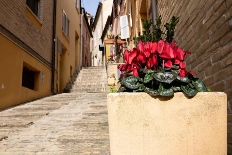 La Casetta - Casa Indipendente Nel Centro Storico - Fermo