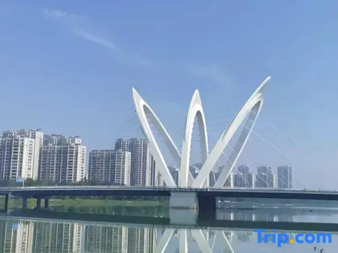 Super 8 Hotel (Zhenhua Shopping Center, Liaocheng Development Zone) - Liaocheng