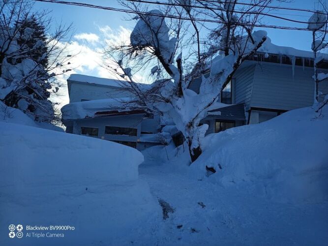 Ha-mon - Hakuba