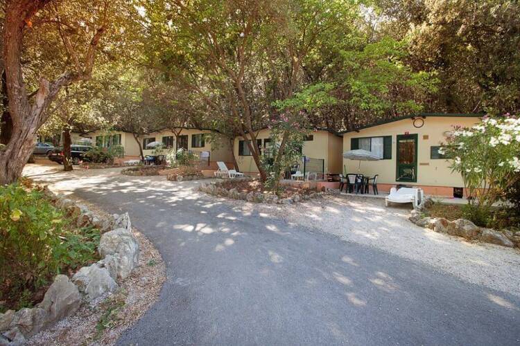 Camping Oliva - Istrien