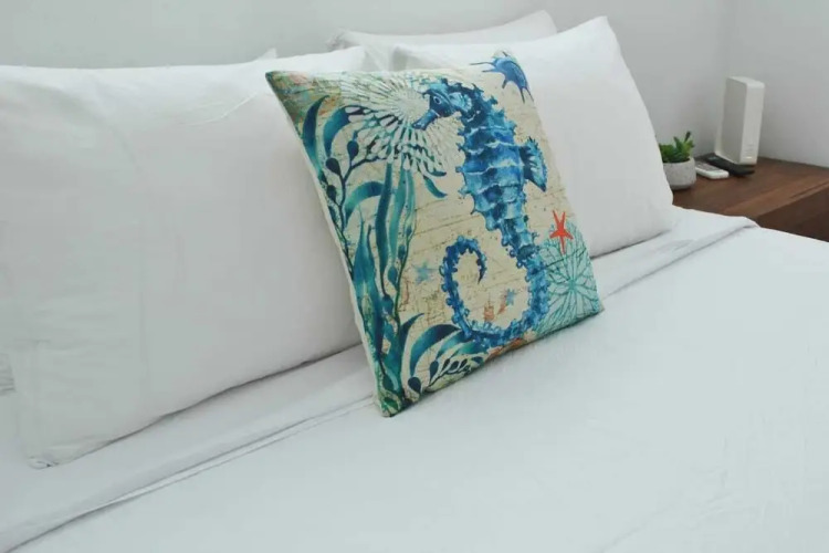 Rooftop Guesthouse - Luquillo