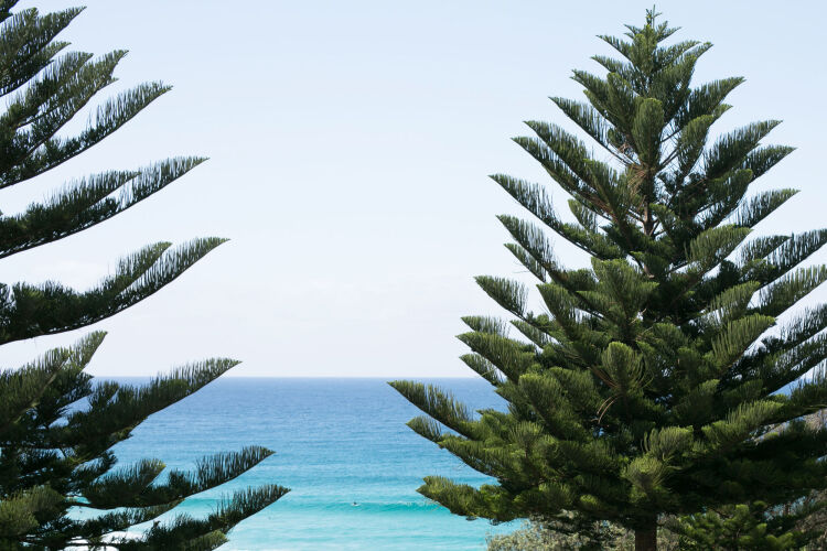 Bondi 38 Serviced Apartments - Bondi Beach