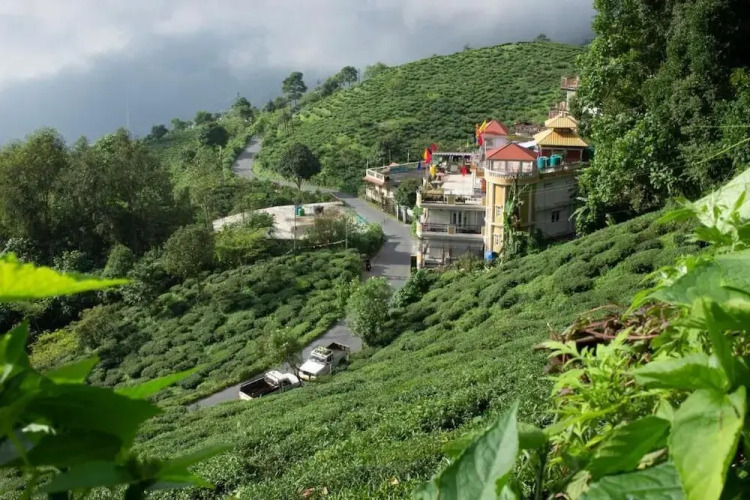 Traditional Hotel And Restaurant - Kurseong