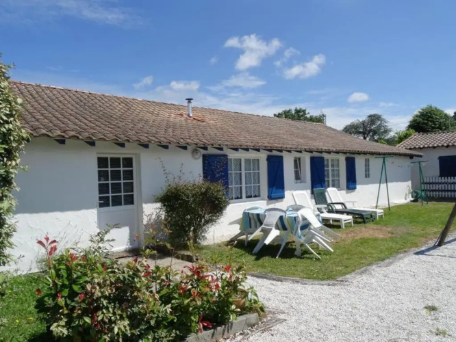 Les Cigales Du Bassin - Gujan-Mestras