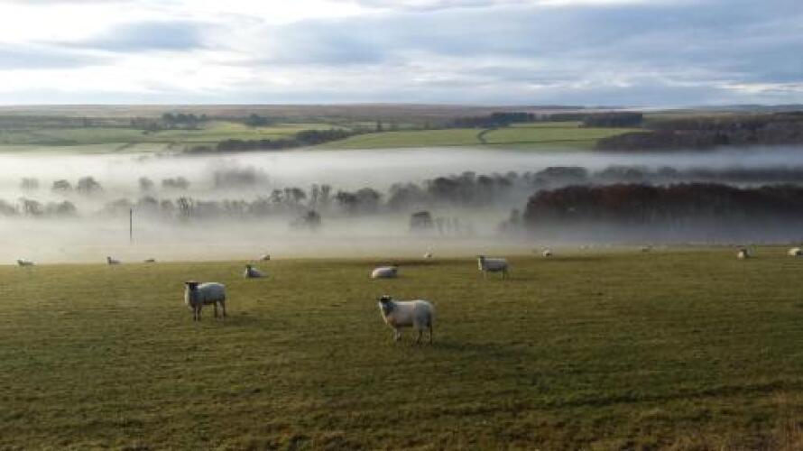 Redesdale Arms - Northumberland