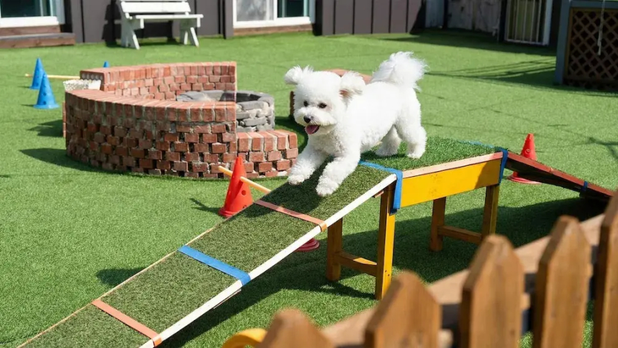 Two Puppy Place Pension - Namyangju-si