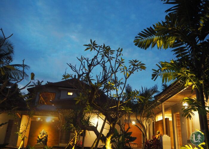 Ubud Tropical - Hostel - Ubud