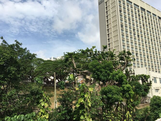 Women's Guest House Fukutomi - 나하시