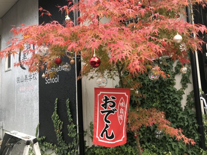 Sayama Aesthetics School - Osaka Prefecture, Japan