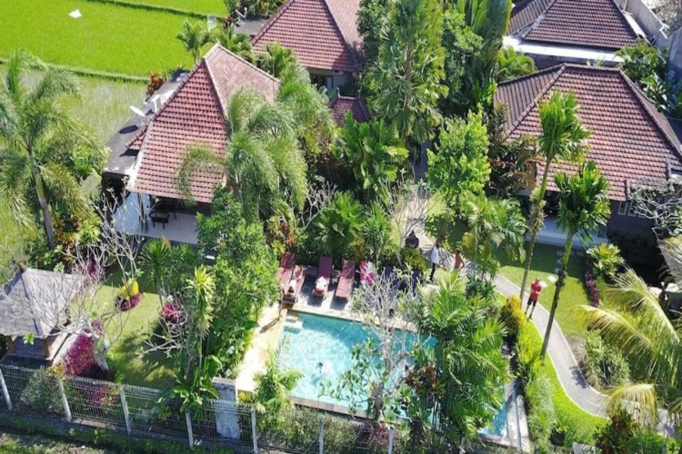 Villa Mandi Ubud - Ubud