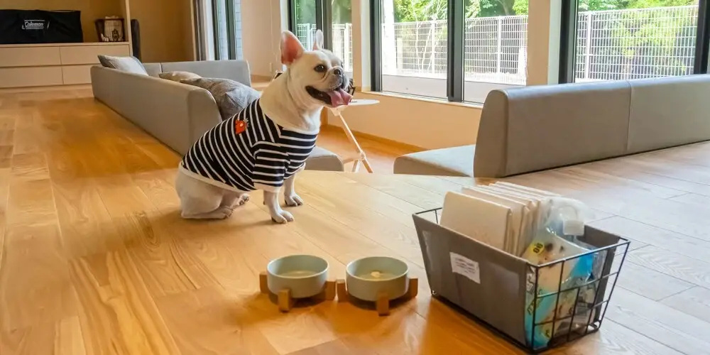 Rakuten Stay Villa Aso Kurokawa - 玖珠郡