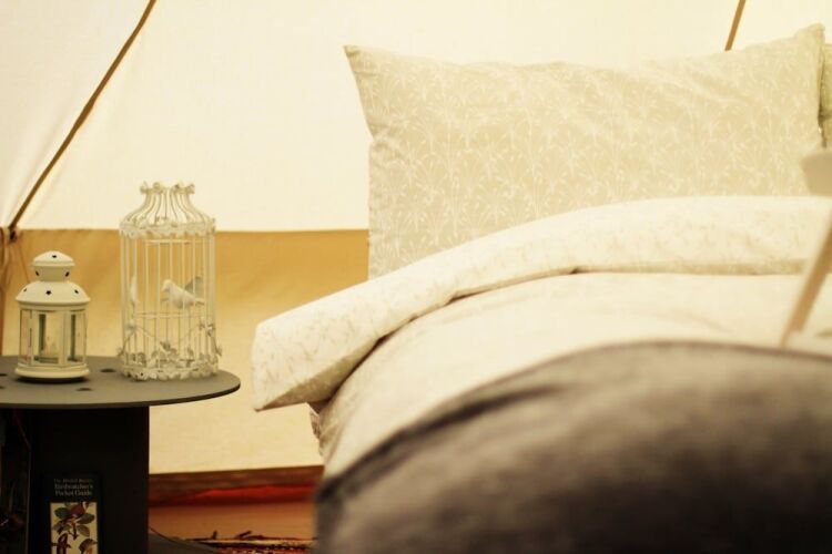 Lloyds Meadow Glamping Delamere Chester - Cheshire