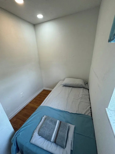 Safari Wynwood - Miami, FL