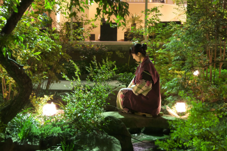 Hotel Plaza Geihin - 秋田県