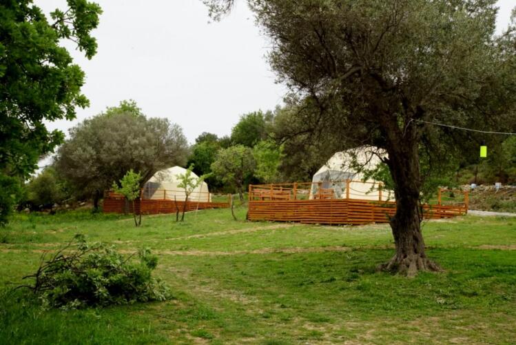 Teos Glamping Sığacık - Sığacık