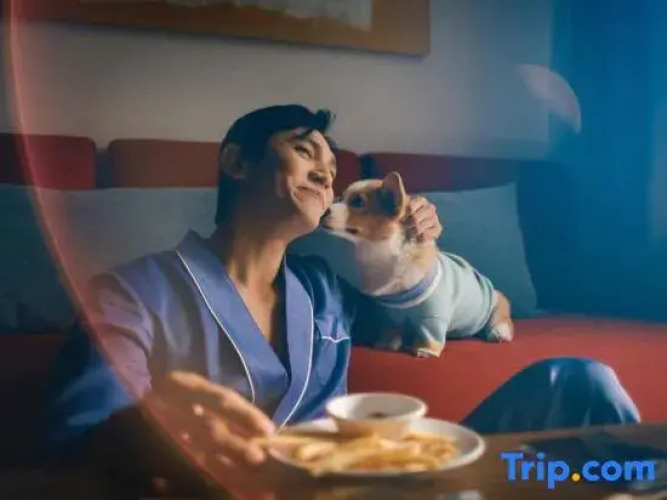 Wink Hotel Hai Phong - 24hrs Stay - Haiphong