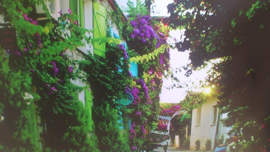 Bedirhan Konak Otel - Alaçatı