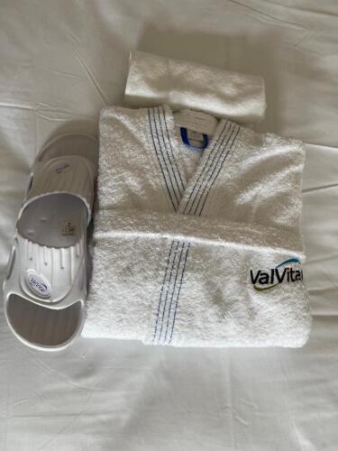 Villa Thermae Nancy - Nancy