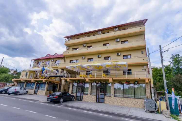 Pensiunea Domneasca - Pitești