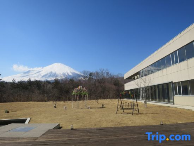Dadu Fuji Resort Hot Spring - Tokyo