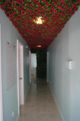 Art Gardens Wynwood - Miami, FL