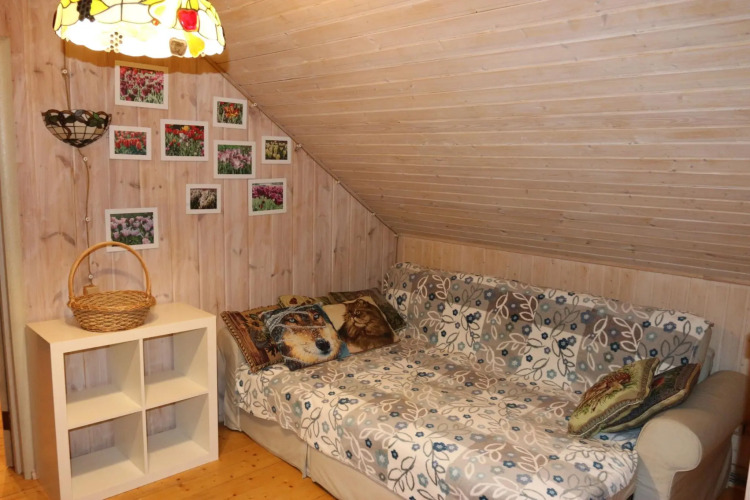 Banya-dom Mishutkino Guest House - 모스크바