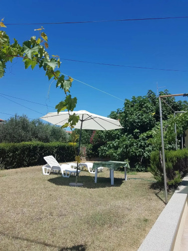 Ruža Apartmani Zadar - Zara