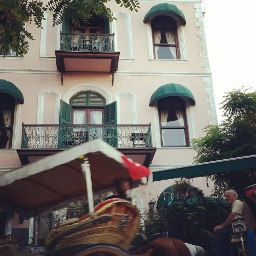 Büyükada Anastasia Meziki History Mansion - Adalar