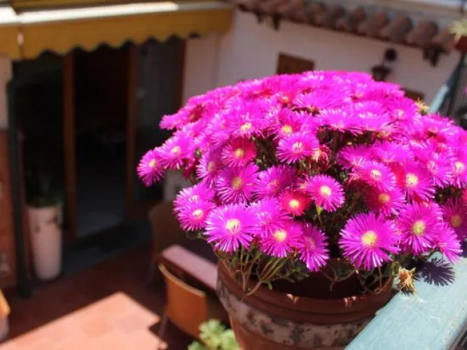 B&b Villa Maria - Naxos