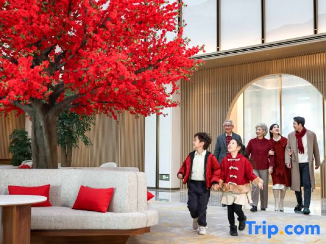 Nuo Resort Hotel-universal Beijing Resort - Beijing