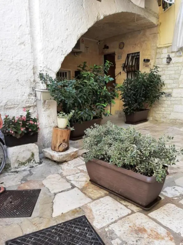 Al Sottano 19 - 