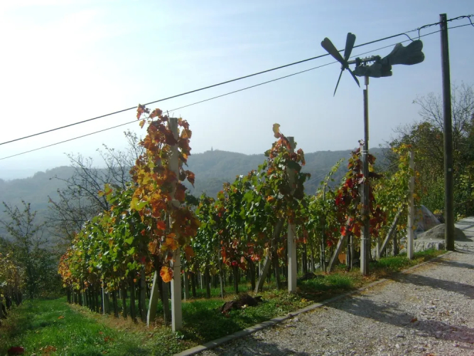 Vineyard Cottage Med Vinogradi - Šmarješke Toplice