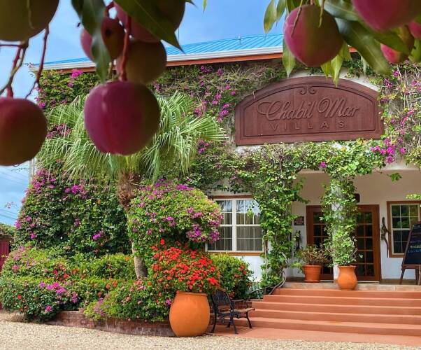 Chabil Mar Luxury Villas - Guest Exclusive Beach Resort - Placencia