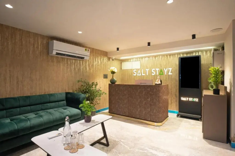 Saltstayz Premier Naraina Central Delhi - New Delhi